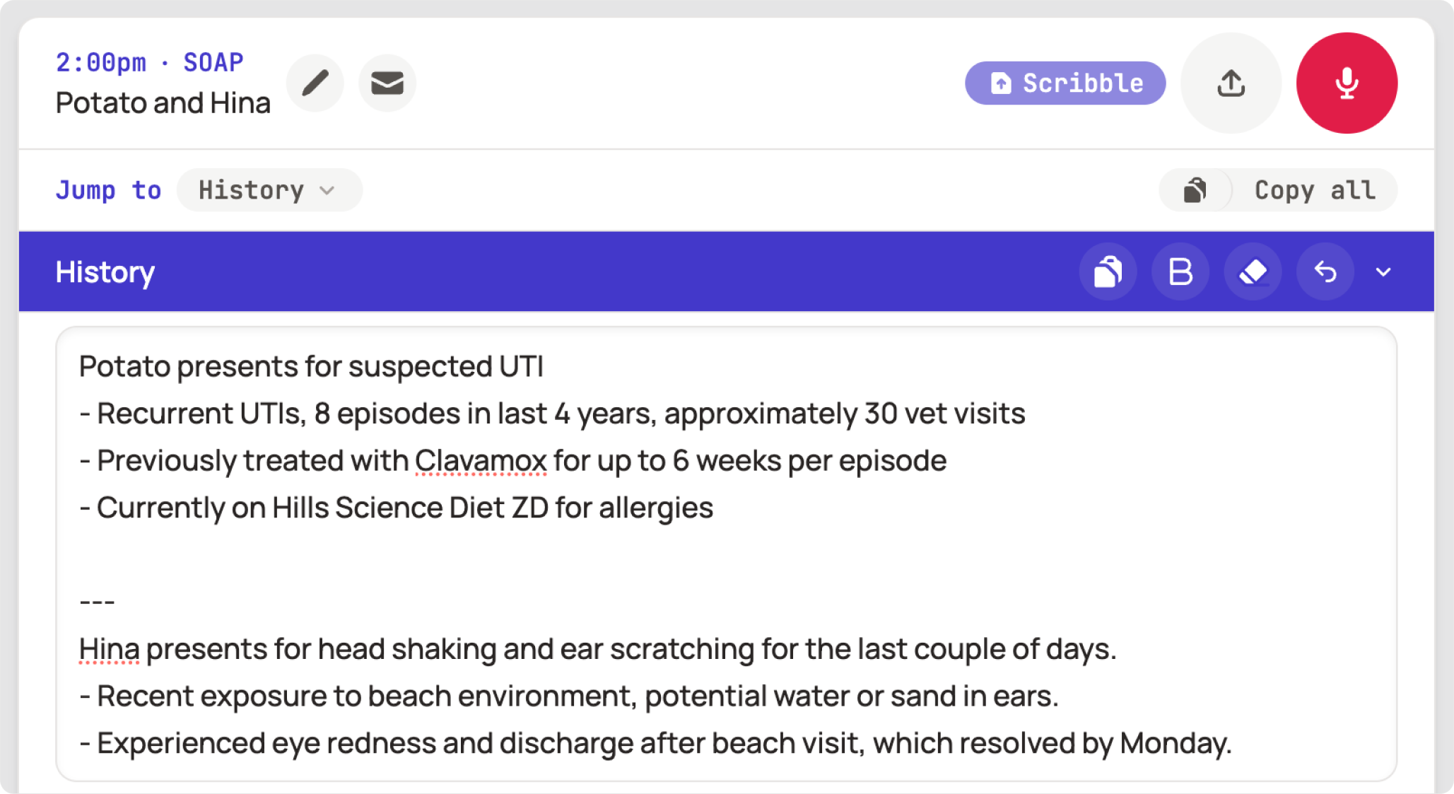 What's new at ScribbleVet